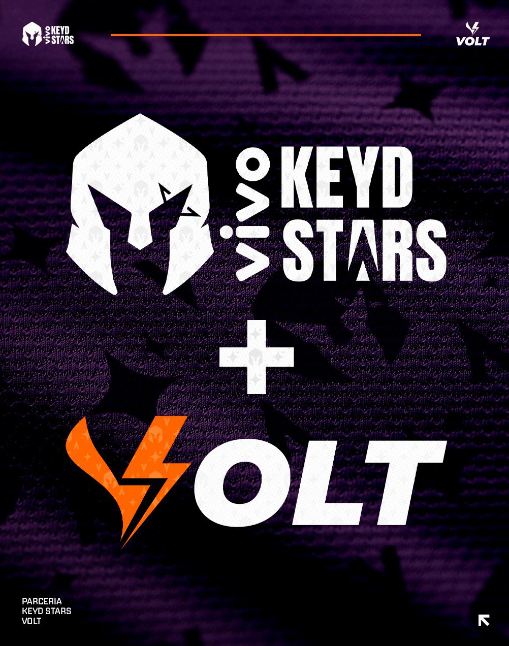 Nossos Times - LoL Academy - Vivo Keyd Stars